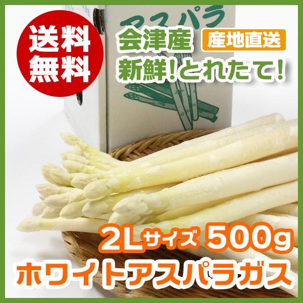 会津産！とれたての新鮮ホワイトアスパラガスを産地から送料無料で直送！※北海道、九州、沖縄は別途送料追加甘みが強く、生でシャキシャキ食べられます。※その日収穫された量のみの出荷になりますので、日にち指定は難しい場合もございます。・商品名：ホワ...