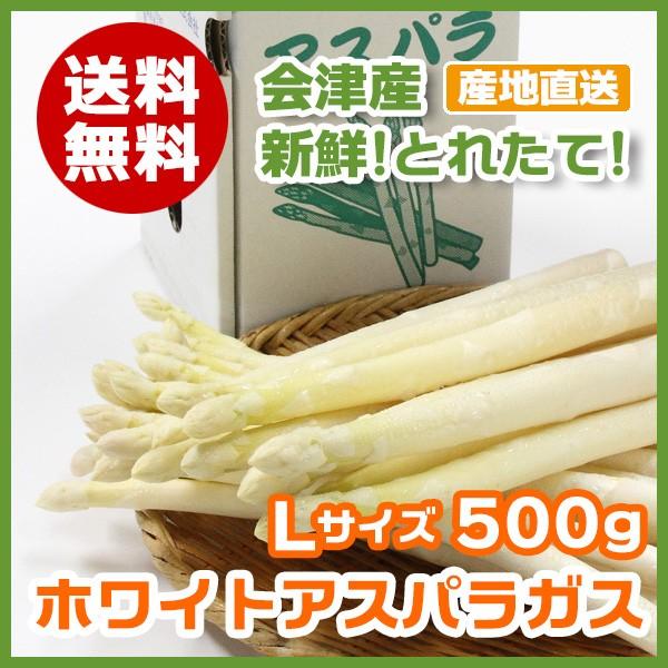 会津産！とれたての新鮮ホワイトアスパラガスを産地から送料無料で直送！※北海道、九州、沖縄は別途送料追加甘みが強く、生でシャキシャキ食べられます。※その日収穫された量のみの出荷になりますので、日にち指定は難しい場合もございます。・商品名：ホワ...
