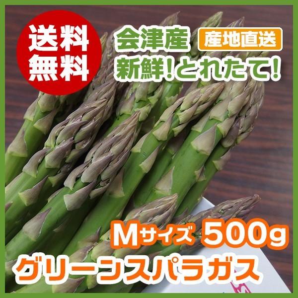 会津産！とれたての新鮮グリーンアスパラガスを産地から直送！送料無料♪（北海道、九州、沖縄は別途送料追加）一部離島へのお届け不可となっております。※その日収穫された量のみの出荷になりますので、ご希望日にお届けできない場合がございます。・商品名...