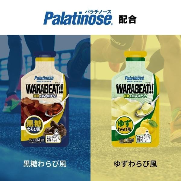 【キーワード関連】パラチノース ワラビート 持続性エネルギー補給 高純度パラチノース ブドウ糖補給 マラソン補給食 ロードレース補給食 トレラン補給食 エネルギー補給 スポーツドリンク パフォーマンス向上 筋力維持補給 体力回復ドリンク ノ...