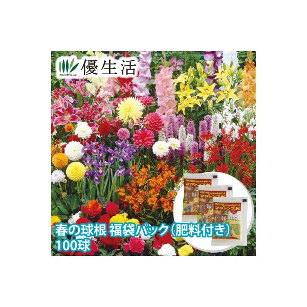 どんな花が咲くかはお楽しみ！ 色々な春植え球根をボリュームいっぱい、さらにおまけの肥料も付けてお届けします。●セット内容／(グラジオラス、ゼフィランサスなどおまかせ4種以上　100球、肥料(マグアンプ 5g)3袋）)●標準開花期／初夏〜晩秋...