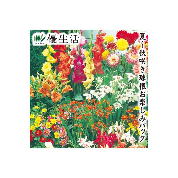 どんな花が咲くかはお楽しみ！ この時期に植付けができる球根類をボリュームいっぱいでお届けします。●セット内容/グラジオラス、ゼフィランサスなどおまかせ4種以上　100球●標準開花期/夏〜秋(種類により異なります)●標準草丈/0.2〜1m（品...