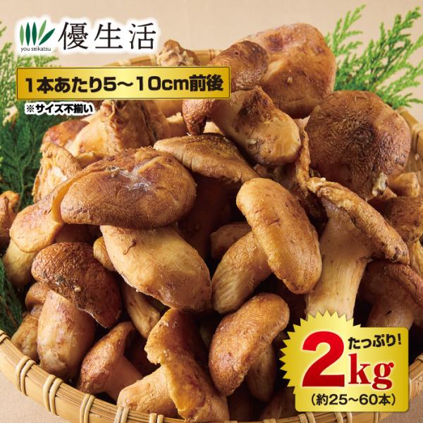 高級食材「松茸」をたっぷり2kg、訳ありだからお買得！秋の味覚と言えば『松茸』。高級食材である「松茸」を大きさ不揃いの訳ありのためこのボリュームでこのお買得価格が実現！稀少価値の高い「松茸」を松茸ご飯にすき焼き、てんぷら、土瓶蒸し、と心ゆく...