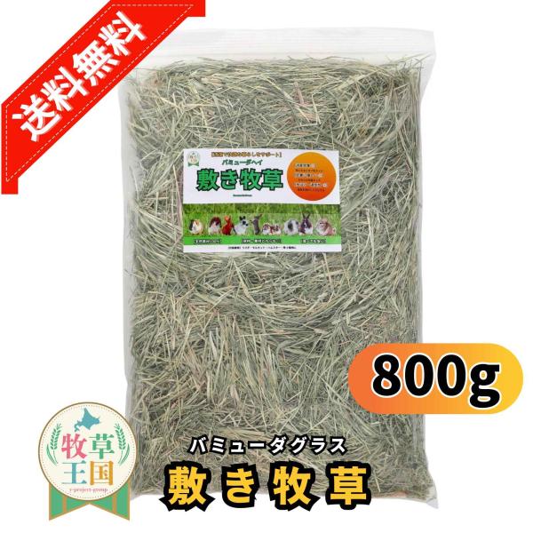 【商品名】牧草王国 バミューダグラス 敷き牧草【内容量】800g【対象動物】うさぎ、モルモット、ハムスター、チンチラ、デグーなどの小動物全般【商品の特徴】・【天然素材100%】安心の天然素材を使用。床材・巣材どちらにもお使いいただけます。・...