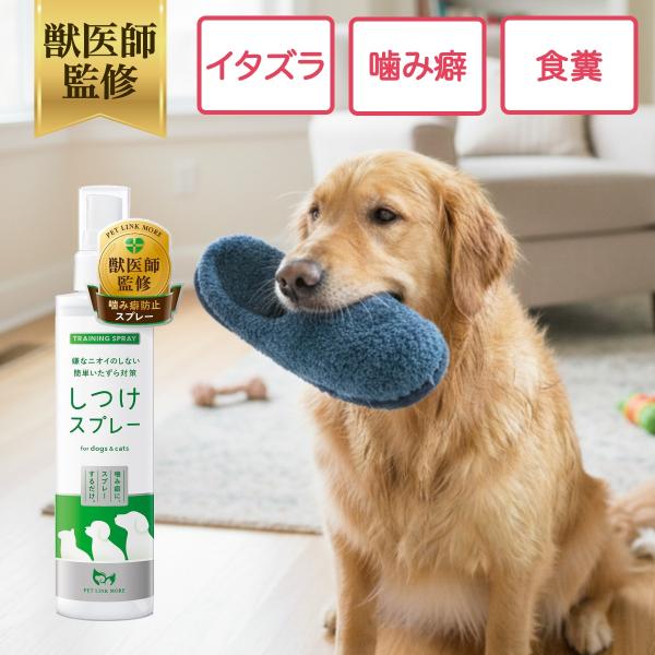 【苦み成分で「噛んだらダメ」のしつけをサポート】「噛んだらダメ」を優しく教えるための獣医師監修アイテムです。苦味のある成分で「かじるのは嫌なこと」と学習させ、家具や壁をかじるのを防ぐだけでなく、食糞の対策にも役立ちます。