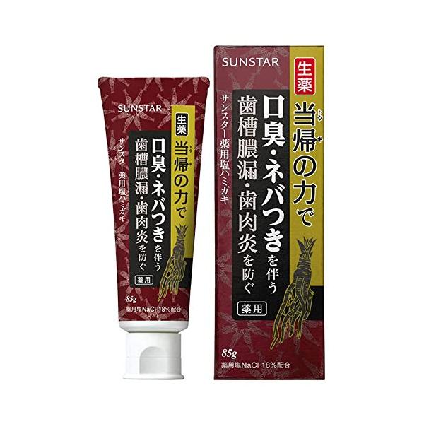 薬用ハミガキ 生薬 当帰の力 ８５ｇ×６個セット