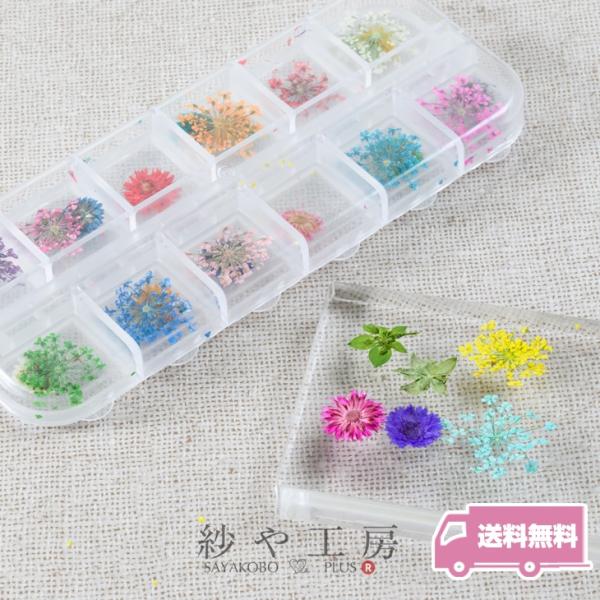 本物の押し花です。天然素材のため、形やサイズに個体差があります。【内容詳細】ドライフラワー 封入パーツ レースフラワーとリーフ ジェルネイル   花  レジンパーツ レジン材料    アクセサリーパーツ パーツ【サイズ】【カラー】【素材】本...