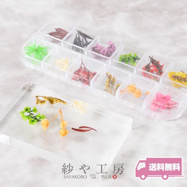 押し花のアソートセットです。お花と葉っぱが入っているアソートになっているので用途は色々♪♪【内容詳細】リーフアソートセット  花 ドライリーフ【サイズ】【カラー】【素材】【関連キーワード】 花 ドライリーフ ハンドメイド レジン 花びら 本...