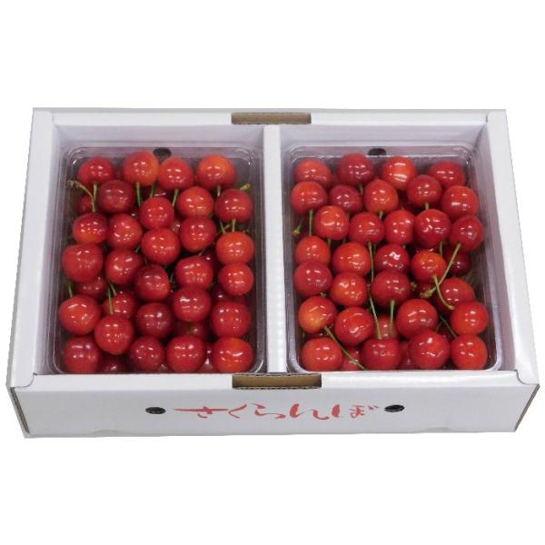 【発売日：2026年06月20日】山形県天童市から、美味しい農地で採れたての果実を直送いたします。初夏だけの味覚、真っ赤に輝く可愛い実。実が真っ赤でツヤのあるL-2Lサイズの贈答用の秀品を厳選しています。紅秀峰の大粒で濃厚な甘みと美味しさは...