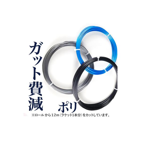 【ネコポス対応商品】素材:モノフィラメント ポリエステルストリングスカラー:シルバー/レッド/ブルー/ブラックゲージ:1.27mm長さ:12m(ロールカット品)