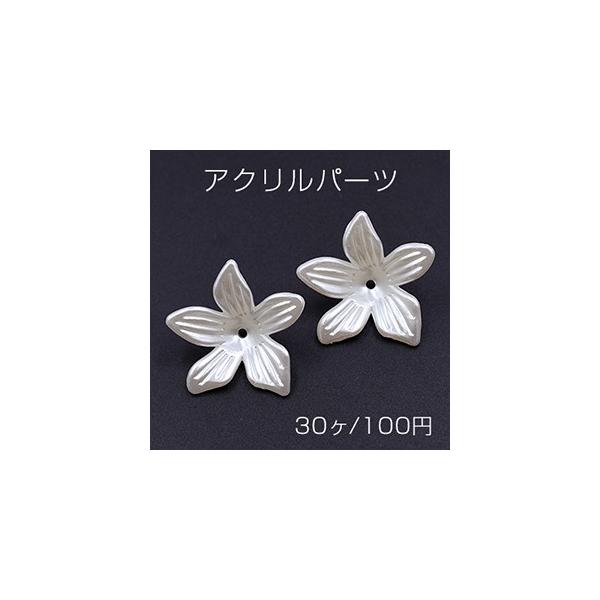 サイズ：約25mm 入数：30ヶ/パック 素材：アクリル製 重さ：約21g/パック