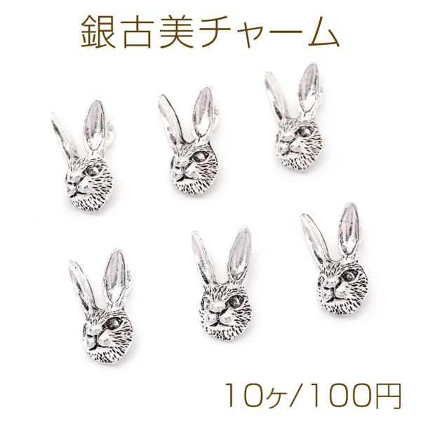 サイズ：約9×17mm 入数：10ヶ/パック 素材：合金製 重さ：約16g/パックメタルチャーム 金属チャーム アクセサリーパーツ ハンドメイドパーツ 人気