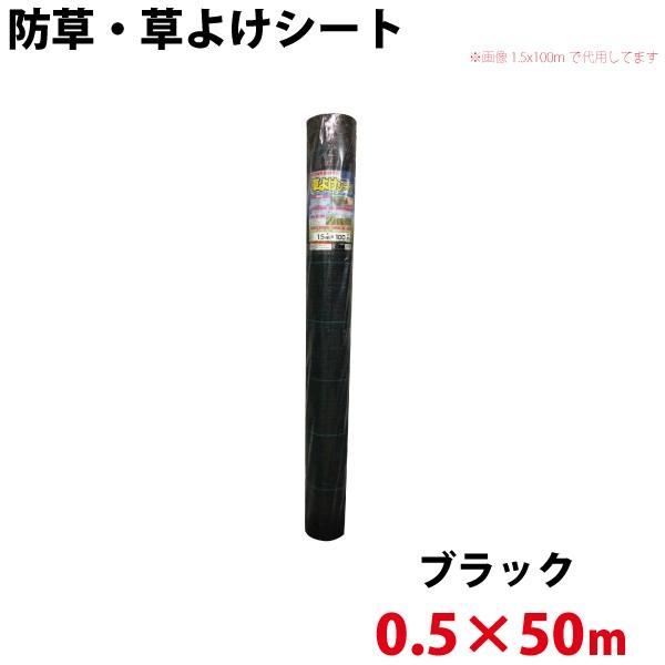 ※メーカー直送品の為、代金引換不可です。沖縄地方は配達不可となります。日時指定が承れない場合がございます。ご了承の上ご注文下さい。