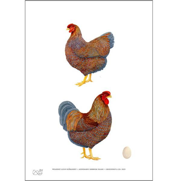 ■こちらはポスターのみの商品です。フレームは含まれません。北欧デンマークから届いた図鑑アートなポスター。オスとメスのニワトリを描いた1枚。ブロカント、シャビーシックなインテリアにもおすすめです。こちらはデンマークで自然研究と出版社を運営する...