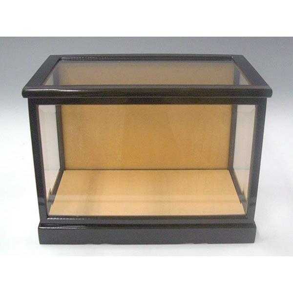 つや無し黒塗のシックなイメージのケースです。