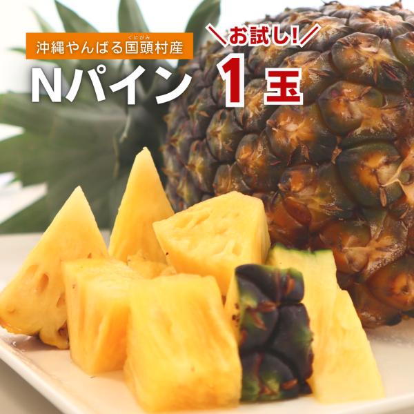 【発売日：2026年07月20日】国頭産　Nパイン：ハワイ種内容量：1個(1kg〜）「Nパイン」は国頭村の栄養豊富な赤土（国頭マージ）で育ったハワイ生まれ品種のパイナップル。甘味と酸味のバランスの取れた人気の品種です。沖縄北部（やんばる）特...