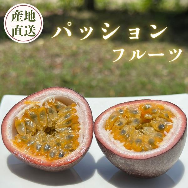 【発売日：2026年05月26日】南国感じるトロピカルフルーツのパッションフルーツは爽やかな甘みと酸味があり、香り豊かな果物です。そのまま食べても美味しいのはもちろんの事、ヨーグルトやアイスクリームのトッピング、ドリンクやジャムにしてもお楽...