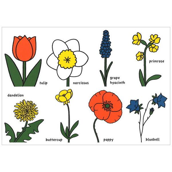 ●サイズ：150×105mm在庫数は、一定の個数で設定しております。品切れの場合は、メールにてご連絡させていただきます。また、ご注文の個数についてご相談がありましたら、遠慮なくお問い合わせください。