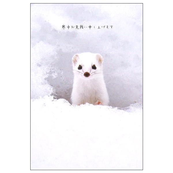 ●ポストカードサイズ：100×148mm●同じ柄3枚セット●紙質：マットコート紙(マットな手触りで、落ち着いた光沢感があります)●写真面筆記可●写真面文字あり「寒中お見舞い申し上げます」●メーカー：MEMORIES(メモリーズ)在庫数は、一...
