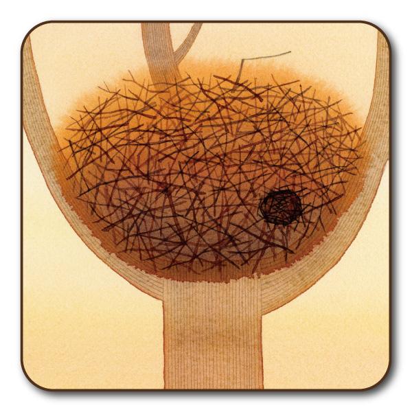 ●商品説明絵本作家として活動されている山田和明さんのコースターです。【山田和明 -プロフィール-】イラストレーター兼絵本作家として活動中。『イタリア・ボローニャ国際絵本原画展』にて三度入選。「My Red Balloon」・「カノンとタクト...