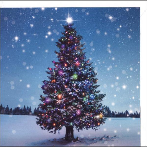 ■封筒サイズ：157×157mm(定形外)■封筒の色：白■カード：152×152mm（二つ折り）■紙の質感：ツルツルした手触り■メーカー：The Great British Card Company（イギリス）