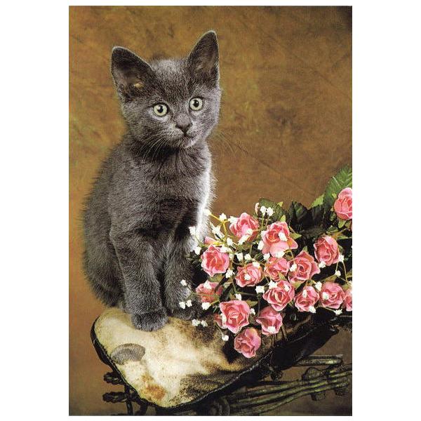 ●103×148mm在庫数は、一定の個数で設定しております。品切れの場合は、メールにてご連絡させていただきます。また、ご注文の個数についてご相談がありましたら、遠慮なくお問い合わせください。