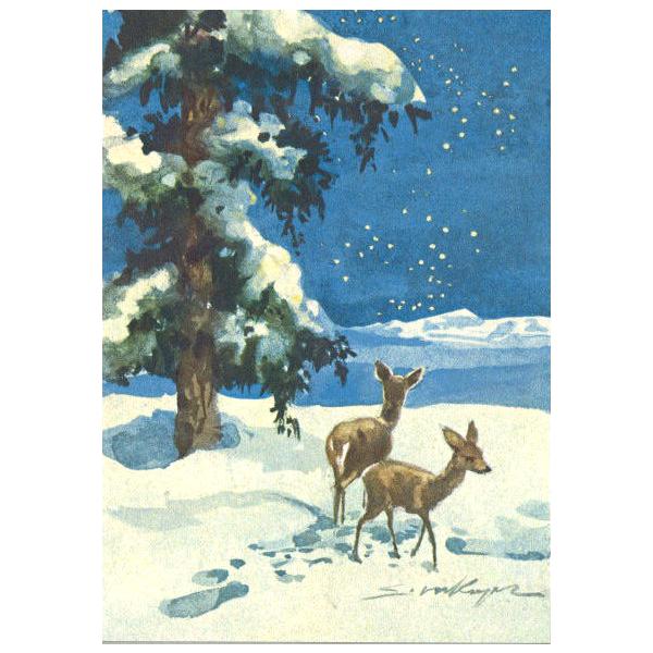 ■サイズ：105×148 mm在庫数は、一定の個数で設定しております。品切れの場合は、メールにてご連絡させていただきます。また、ご注文の個数についてご相談がありましたら、遠慮なくお問い合わせください。