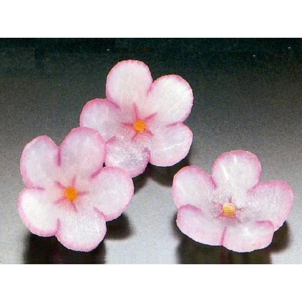 ●大根を寒梅にかたどり、甘酢味に仕上げました。●そのままあしらいに、わさびの器にもにお使いいただけます。原　料：大根(国産)　人参他サイズ：径約3.5×0.5cm 約4g/ヶ　50ヶ入　(甘酢味) 梱包込重量：約720g保存方法： 要冷蔵(...