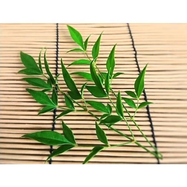 ●防腐効果がある上品なあしらいです。●お刺身、お料理に添えると盛り付けがグレードアップし引き立ちます。●おせち料理や仕出し弁当に・・・●生産者の都合により1パックの入数が異なります。原　料：南天の葉（四国産）サイズ：約30前後 /P保存方法...