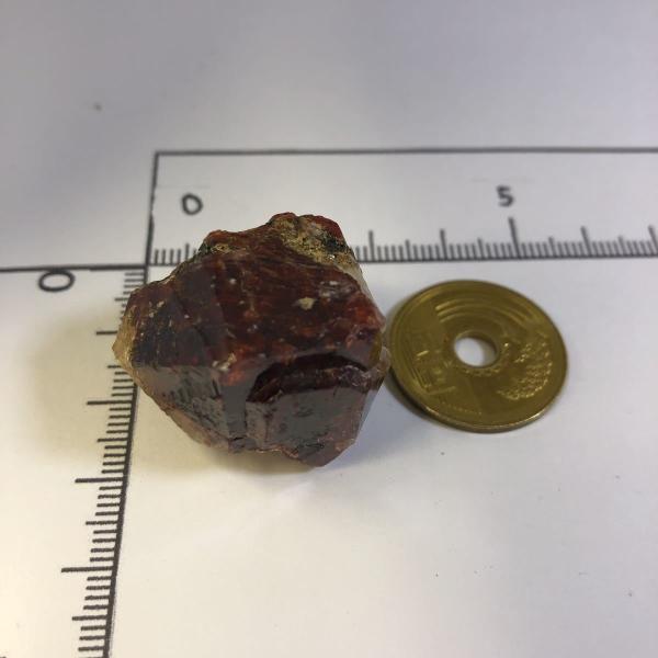 ★通常配送全国無料※画像のものをお送りします。★仕入れ先は信頼度,業界ＮＯ.１の「クリスタル・ワールド」です。●５円玉と一緒に撮影してますのでサイズの参考にして下さい。●一点物の即決なので気に入ったものがございましたらお早めに！早い者勝ちで...