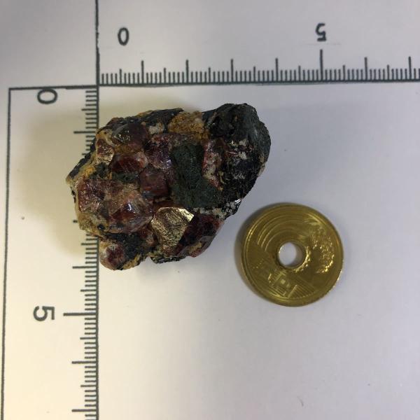 ★通常配送全国無料※画像のものをお送りします。★仕入れ先は信頼度,業界ＮＯ.１の「クリスタル・ワールド」です。●５円玉と一緒に撮影してますのでサイズの参考にして下さい。●一点物の即決なので気に入ったものがございましたらお早めに！早い者勝ちで...