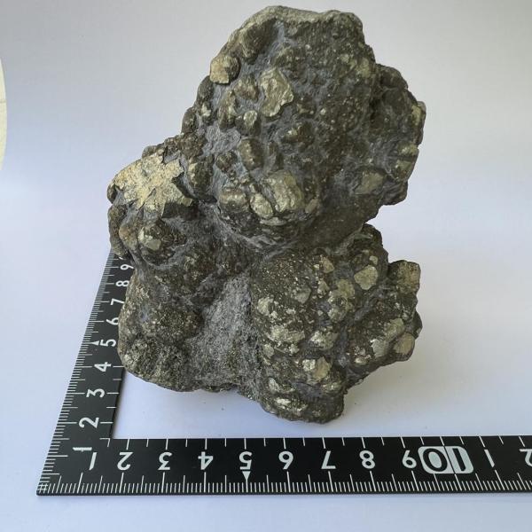 大きめ！【使用ストーン】黄鉄鉱（パイライト）産地：ヒマラヤ、インドPangi ValleyHimachal Pradesh India【石について 】  ・小さなキズ、内包物等がある場合がございます。 天然石ゆえになりますので、ご理解の程よ...