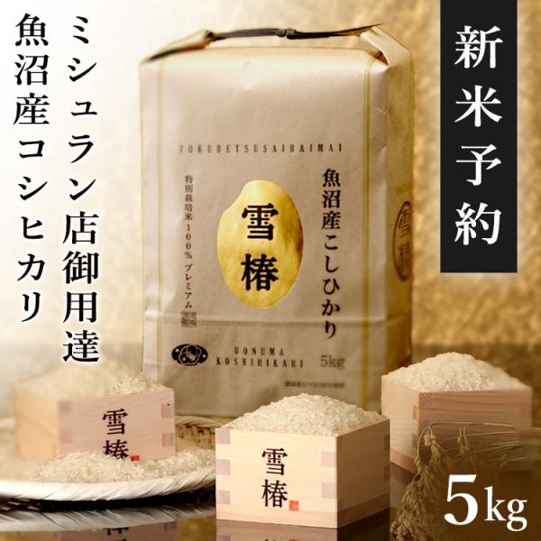 【発売日：2026年10月20日】品名：魚沼産こしひかり「雪椿」名称：精米（ブレンド米ではございません）産地：新潟県津南町（魚沼地区）品種：コシヒカリ（特別栽培米）産年：令和8年産使用割合：単一原材料米内容量：5kg精米年月日：ご注文を受け...