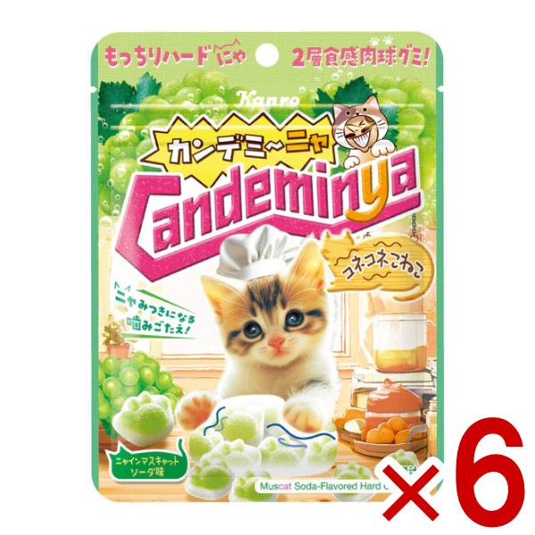 全国送料無料！代引き不可！同梱不可！出荷後、保管期間が過ぎ返送となった場合は、送料と梱包費用の300円(税別)ご請求をさせて頂きます。また、再送の対応は致しません。誤ってご注文されたなどの、お客様都合による返品・交換は不可です。カンデミーナ...