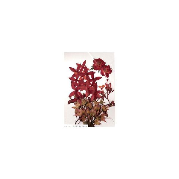 自然な花を特殊製法により丁寧に押し花にしました。無着色です。（カラードシリーズを除く）珍しい南国の花や変わった野菜、香り高いハーブ、キュートなフルーツと今までになかったラインナップです。　外包サイズ：12cm×20cm　■押し花について　・...