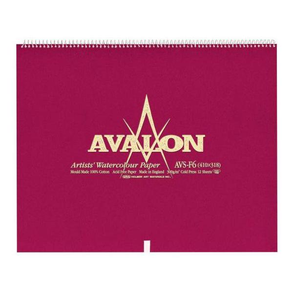 製紙会社として由緒あるセントカスバーツ ミル社で製造された、コットン100％のホルベインオリジナルの高級水彩紙です。純白の紙色と水はじきの強い紙肌が絵具の発色を鮮やかに際立たせます。また、スクラッチやマスキングにも対応可能な表面強度を兼ね備...