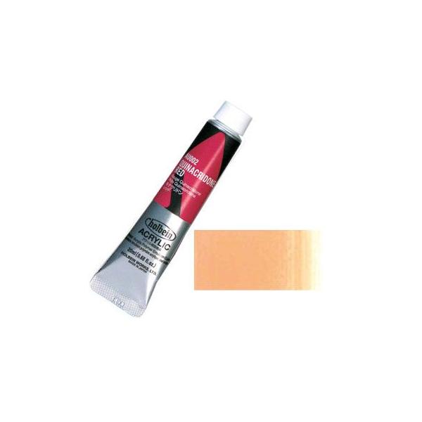 容量20ml　●より美しい透明感を、もっと力強い発色を。アーティスト待望のアクリル絵具。ホルベイン アクリリック カラー。プロフェッショナルからアマチュアまで幅広いアーティストにお使い頂けます。　●ホルベインは、アクリル樹脂絵具をふたたび開...
