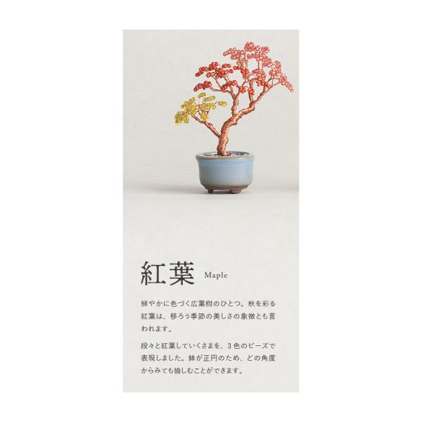 ワイヤーでつくる小さな盆栽のキットです。　枝や葉を自在に動かせるので、本物の盆栽のように好みの樹形に仕立てることができます。　作り方は、カットしたワイヤーにビーズを通してねじるだけ。工具不要で、はさみとものさしだけあれば作ることができます。...