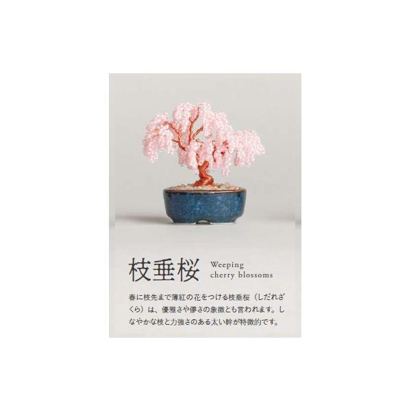 春に枝先まで薄紅の花をつける枝垂桜（しだれざくら）は、優雅さや儚さの象徴とも言われます。しなやかな枝と力強さのある太い幹が特徴的です。　●ワイヤーでつくる小さな盆栽のキットです。　●枝や葉を自在に動かせるので、本物の盆栽のように好みの樹形に...