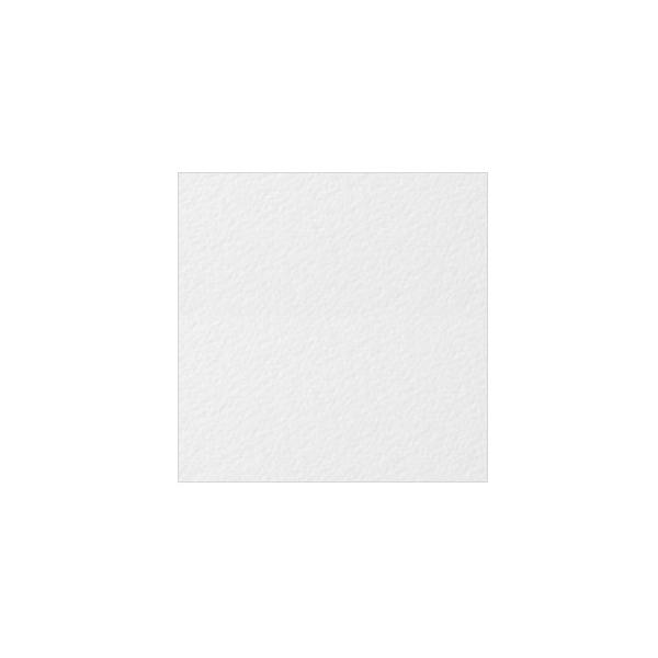 アルデバランは、コットンを主原料に紙肌、強度、発色性、どれも確かな信頼性に裏付けされた版画用紙の決定版です、また(PH7.4)完全中性を実現しています。 【爆買】