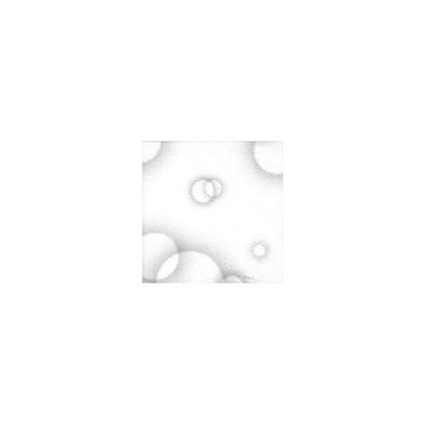 シートサイズ：362×253mm　印刷面積：348×228mm　プロからアマチュアの方まで幅広くお使いいただけるデリータースクリーンです。　高品質、高精度、そしてお手軽な価格のデリータースクリーンは発売以来たくさんの方々にご愛用いただいてお...