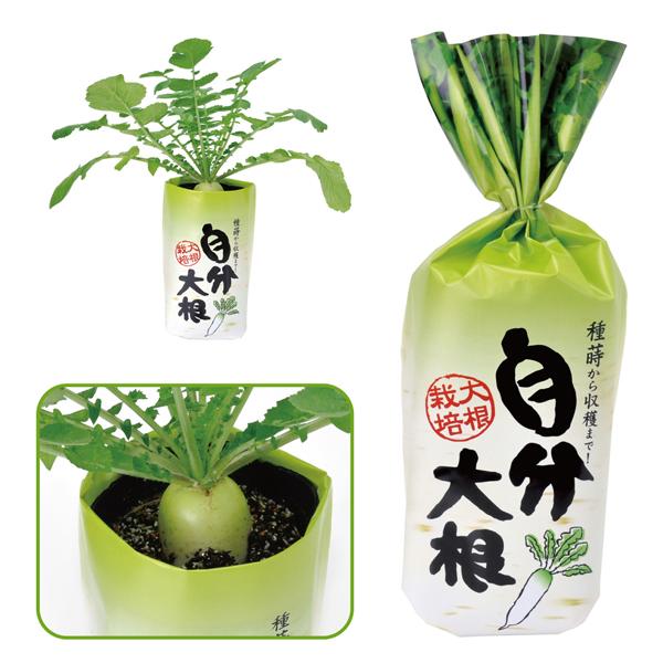 見た目も楽しい、袋で育てよう。　ユニークな袋のパッケージを黒ポットのカバーとして使用し、見た目も楽しく育てます。　パッケージ(袋)サイズ：130×120×360mm 【爆買】