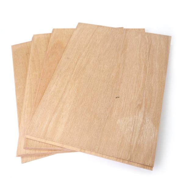 22.5×30cm2.5mm厚ラワンベニヤ片面整面剤塗布済技法説明袋入エッチング版画プレス機か木版画プレス機で印刷してください。 【爆買】