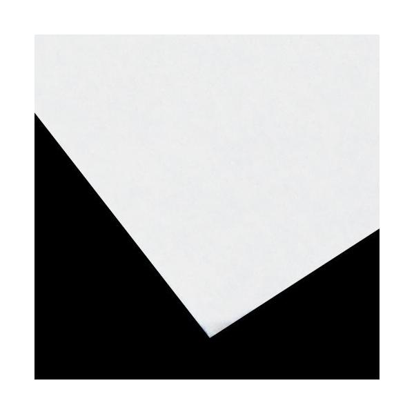 越前を代表する紙で、適度な厚みと柔軟性があり絵具の発色も良好です。　100枚入・サイズ：270×380mm 【爆買】