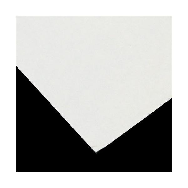 越前を代表する紙で、適度な厚みと柔軟性があり絵具の発色も良好です。　100枚入・サイズ：380×540mm 【爆買】