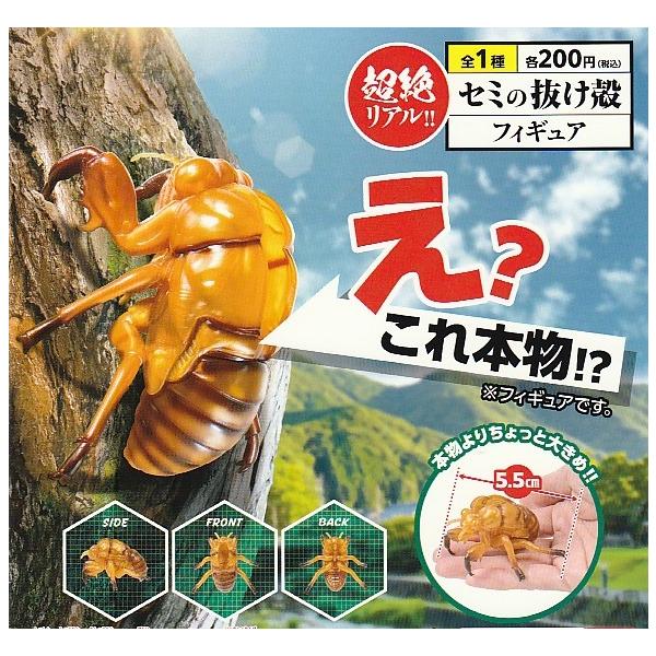 品名　　　：超絶リアル！セミの抜け殻フィギュア　6個セット　ガチャポン★カプセル、画像のPOPは付きません。★ミニブックは個数分付属します。★部品不足・色むら等のメーカーによる初期不良は、ミニブックに記載されております連絡先にお問い合わせを...