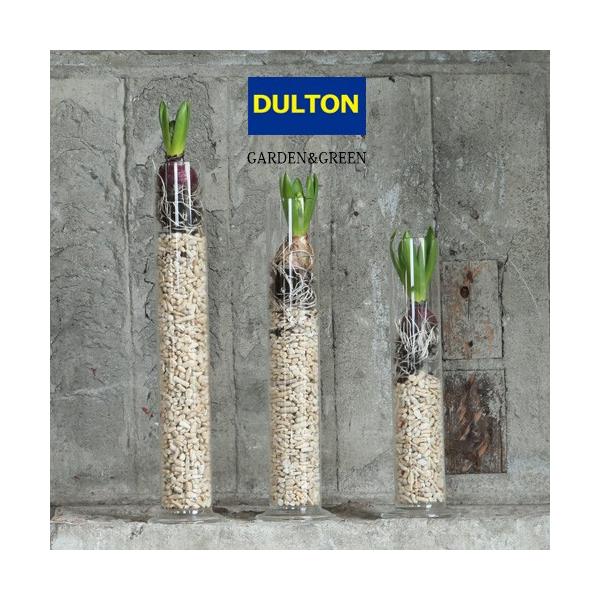 【サイズ(約)】：H.400mmφ65mm底脚 φ100mm【素材】：ガラス【商品説明】：理科室や実験室ではお馴染みの、メスシリンダーをモチーフとしたガラスベース。高さのあるベースなので、茎の長い形状の植物がよく似合います。また、大粒の砂や...