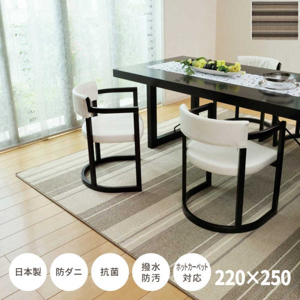 【サイズ】220×250【すべり止め】なし【素材】表面：ポリプロピレン100％　裏面：不織布貼り（70g/m2）【厚み(mm）】10【機能】：防ダニ・抗菌・撥水・防汚【生産国】日本お部屋のアクセントにぴったりなスタイリッシュなデザイン。防ダ...