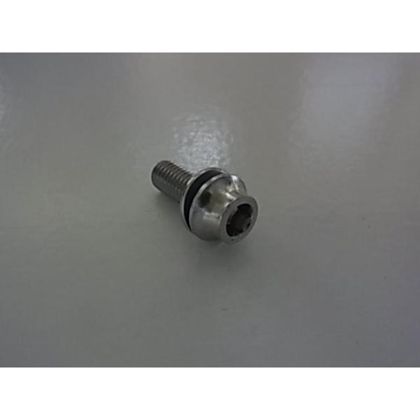 ・錆びにくいステンレス製ボルト。・キャリアーダボなどの使用に適しています。・サイズ：M5x13mm。ネジピッチ：0.8mm。重量：4g。ワッシャー付属。