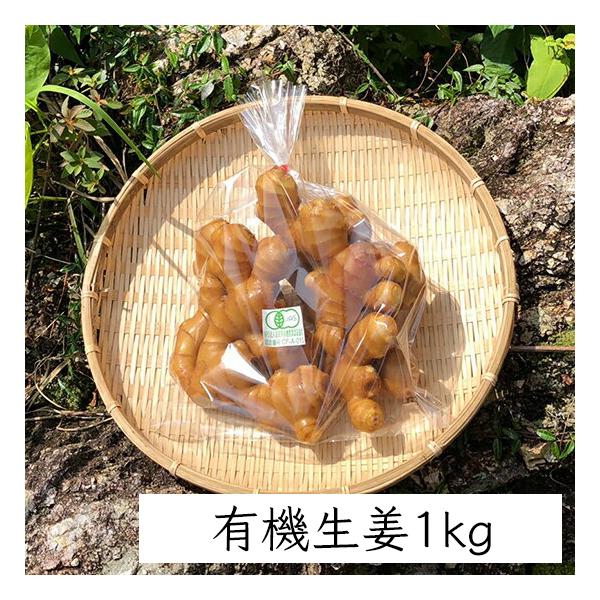 -有機JAS認定の土佐山有機生姜-青山ファーマーズマーケットでお馴染みのオーガニック有機生姜。土佐山産有機生姜は、有機農法で栽培された希少な有機JAS認定の生姜です。秋に収穫してムロで寝かせて熟成させた美味しい生姜は、生姜本来のしっかりとし...